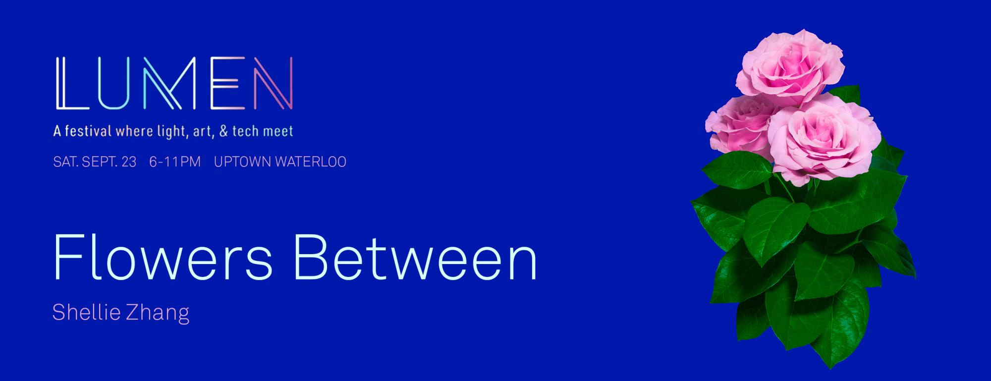 Home page | Contemporary Art Forum, Kitchener + Area